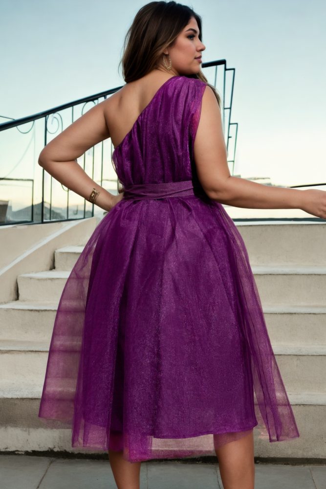 Serena Plus Size Purple Toga Tulle Dress– Hello Curve