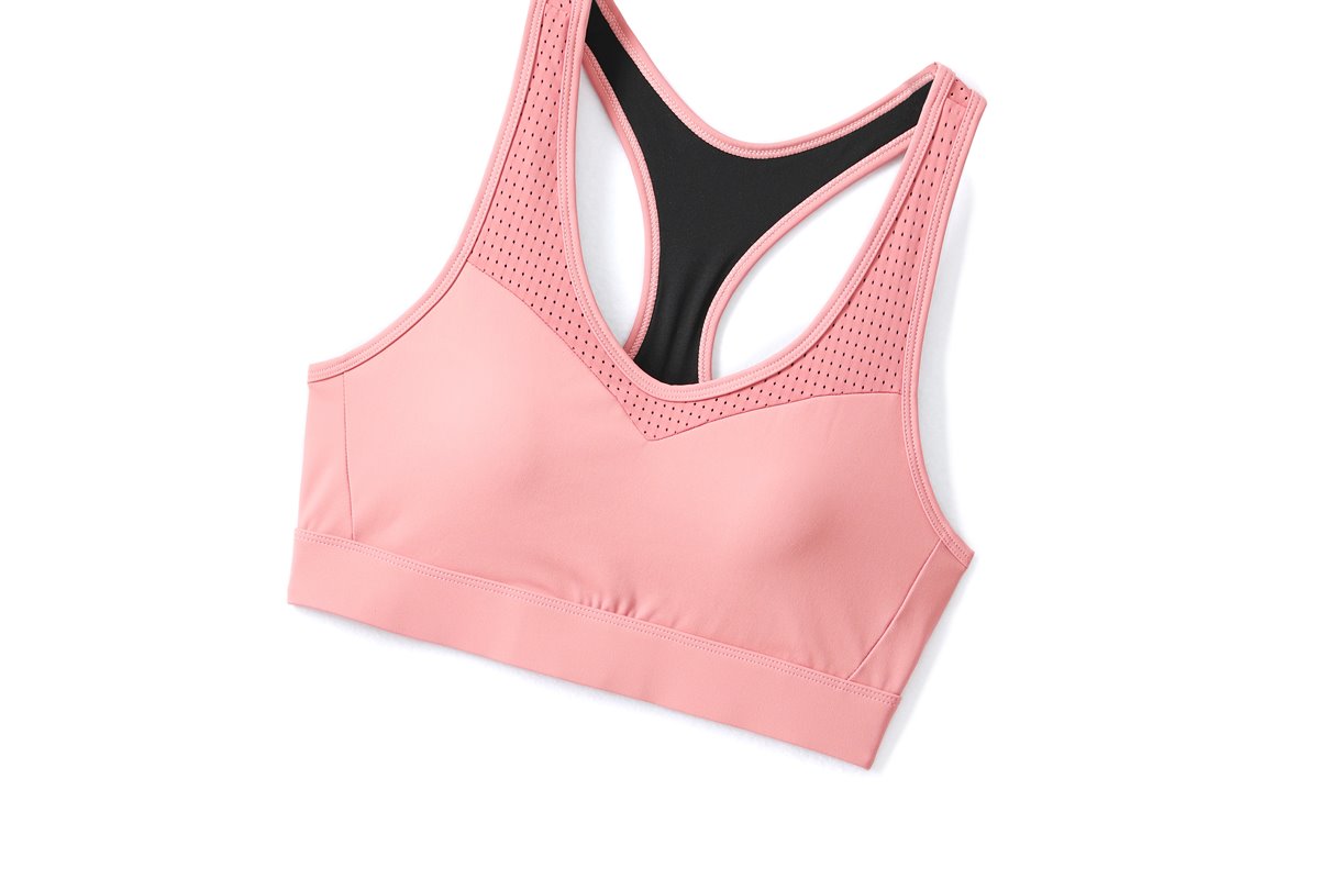 Quinlyn Plus Size High Impact Sports Bra– Hello Curve